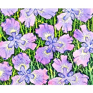 McGowan's TufTop Iris Patterns Tempered Glass Cutting Board. 12 by 9 inches.