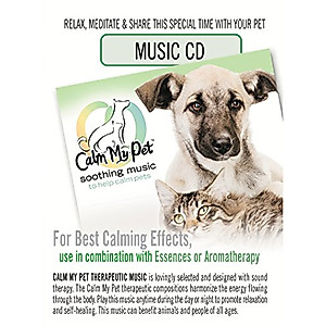 Calm My Pet Calming Music That Helps Pets Cope with Common Phobias