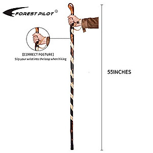 FOREST PILOT Mimetic Root Head Wooden Walking Stick (Dark Brown Color, 55 Inches, 1 Piece)