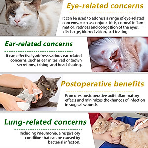 Antibiotics for Cats, Natural Antibiotic for Cats, Pet Supplements, Cat Antibiotics Supports Immune & Cats Allergy Relief, Cats Multivitamin, Cats UTI Antibiotics, Chicken Flavour - 2 Fl Oz / 1 Pack