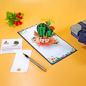 CUTPOPUP Happy Birthday Card Pop Up, 3D Greeting Card (Cactus)