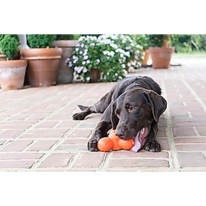 PetSafe Large Sportsmen Squeak 'N' Treat Troog Pet Chew Toy