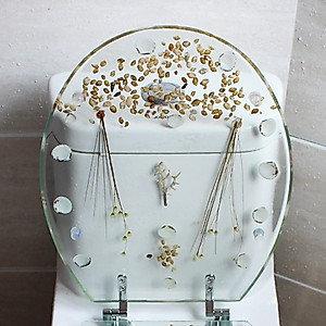 U/V Style Bidet Toilet Seat,Unplugged Intelligent Toilet Lid Spray Fresh Mechanical Nozzle Resin Transparent Design Shell Toilet Seats (CQ-5835)