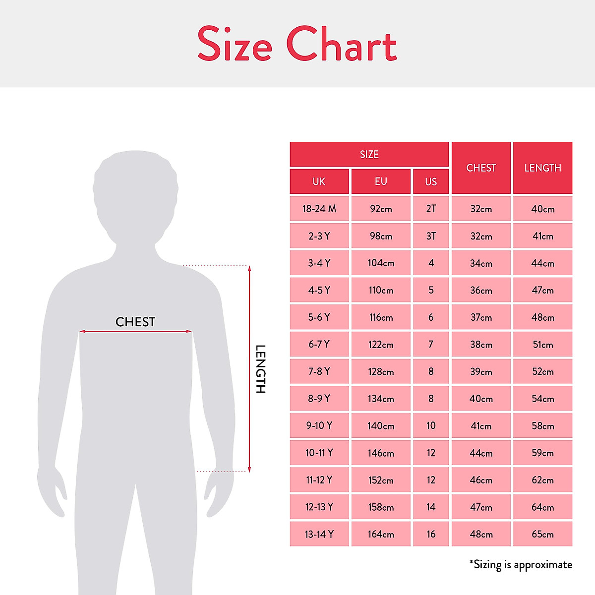 Pokemon Tshirt | Pikachu Boys Tshirts | Pokémon Clothes for Kids Size 13 Multi