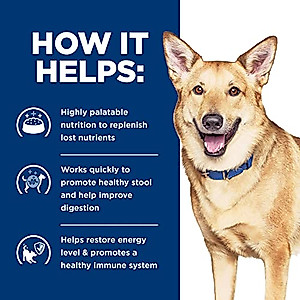 Hill's Prescription Diet i/d Digestive Care with Turkey Canned Dog Food, Veterinary Diet, 13 oz., 12-Pack Wet Food