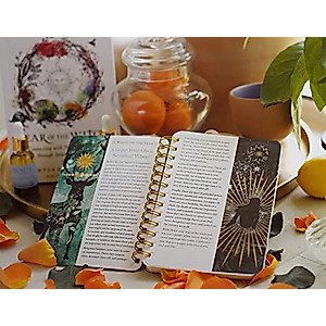 Year of the Witch 2022 - 2023 Weekly Planner: On-the-Go 17-Month Calendar with Pocket (Aug 2022 - Dec 2023, 5" x 7" closed)