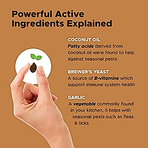Pet Honesty Flea & Tick Defense Supplement - Natural Flea and Tick Soft Chew for Dogs, Pest Defense to Promote Body's Natural Response, Oral Flea Pills for Dogs - 90 ct