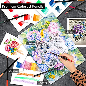 Premium Drawing Pencil Set(96pcs),including 72 Colored Pencils and 24 Sketch Kit,Art Pencil Kit in Zippered Travel Case, for Drawing,Sketching and Coloring,Ideal for Beginner,Artists and Adults