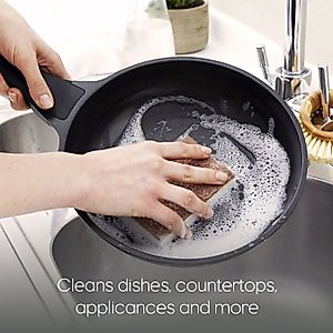 Full Circle In a Nutshell Walnut Scrubber Sponges, Non-Scratch, Set of 2 (Pack of 6)