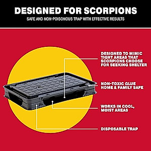 Catchmaster Scorpion Glue Tray Traps 6-Pack, Adhesive Scorpion Killer for Home, Simple Insect Traps Indoor, Sticky Bug Catcher for Kitchen, Garage, & Basement, Pet Safe Pest Control Glue Traps