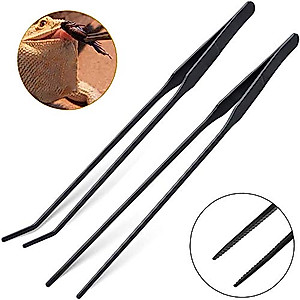 3Pcs Reptile Feeding Tongs Long Tweezers Cricket Clamp Bug Scooper and 2Pcs Reptile Food Bowl Lizard Gecko Food Water Dish Bearded Dragon Feeding Dish, Ceramics Worm Dish