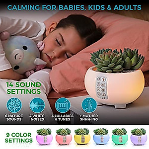 Oasis 3-in-1 White Noise Machine for Adults, Kids & Baby Sleeping – Must Haves Sleep Sound Machine with Baby Shusher White, Pink, Gray, Brown Noise, Music & Nature Sleep Sounds for Deep Restful Sleep