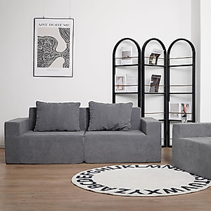 N&V Foam Sofa, Made with All Foam, Great for Livingroon and Bedroom (Grey, Love Seat)