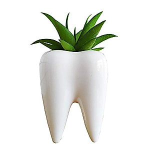 3.93 Inches Tall Tooth Shaped Ceramic Succulent Cactus Vase Flower Pot (Plants Not Included)