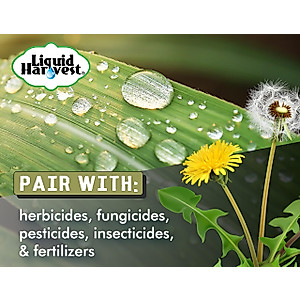 Concentrated Surfactant for Herbicides Non-Ionic 32oz, Increase Product Coverage, Increase Product Penetration, Increase Product Effectiveness