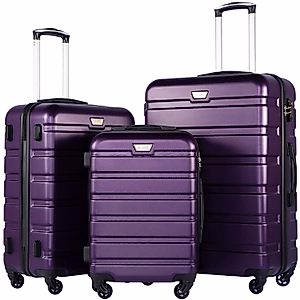 Coolife Luggage 3 Piece Set Suitcase Spinner Hardshell Lightweight TSA Lock (purple2)