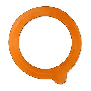 Rayware Pack of 10 100mm Rubber Seal 612104