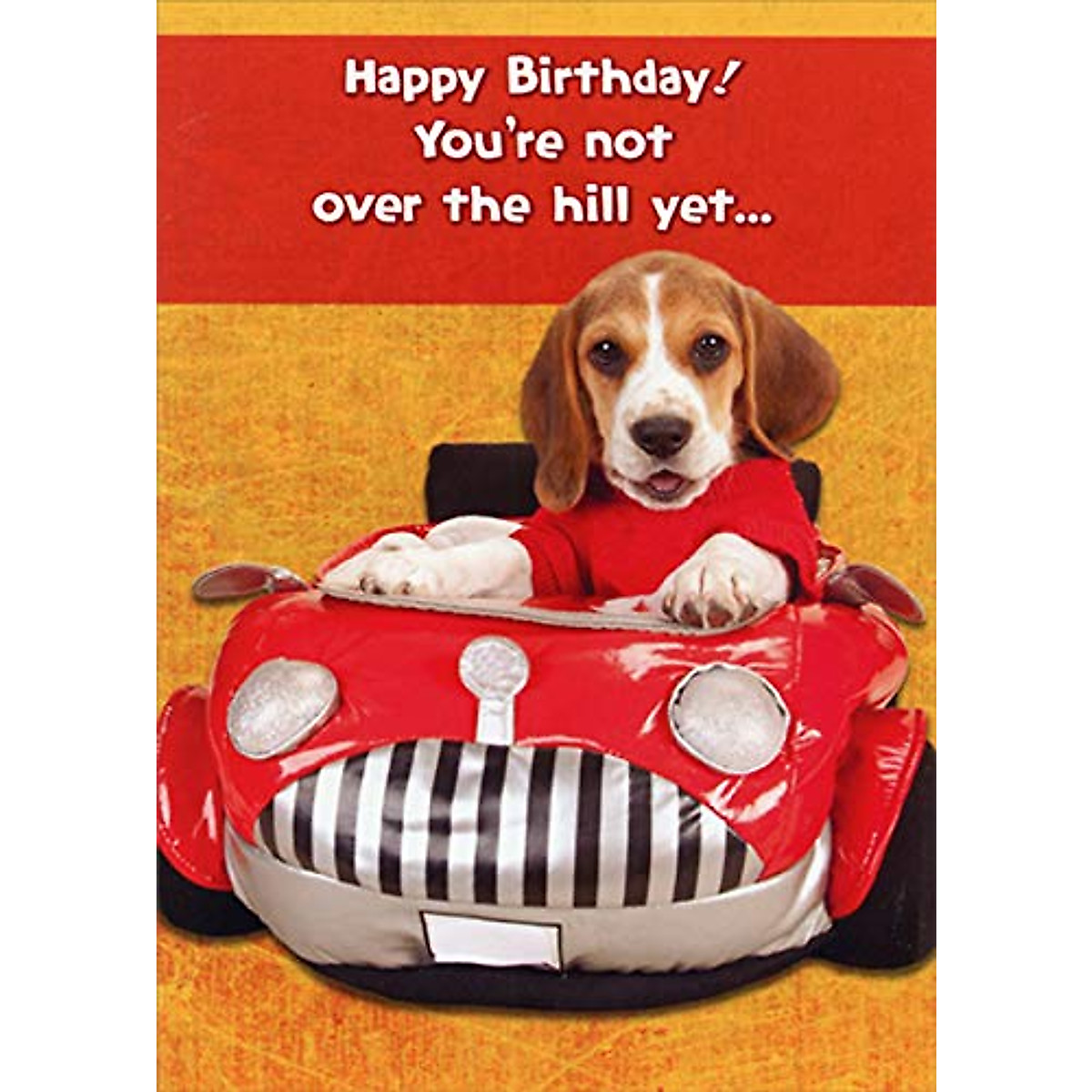 Designer Greetings Beagle in Red Stuffed Toy Car Funny : Humorous Dog Over The Hill Birthday Card for Him : Man : Men