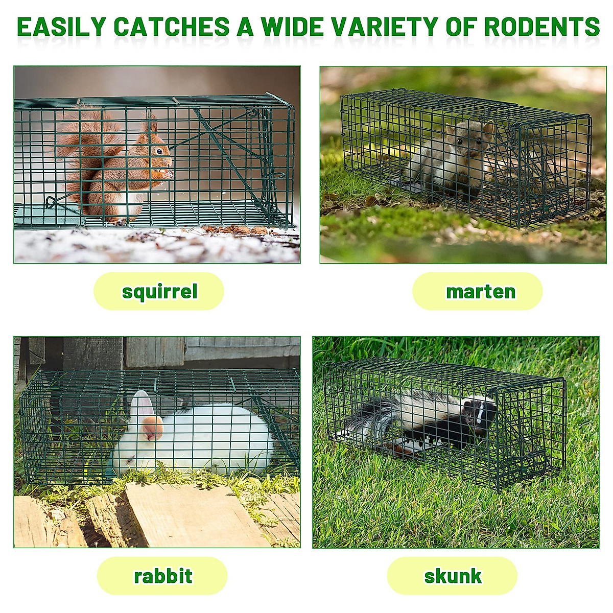 Qualirey 2 Pcs Humane Squirrel Trap Heavy Duty Live Animal Chipmunk Trap Catch and Release Rat Trap for Outdoor Small Animals Mouse Raccoon Stray Cat Rodent Weasels (16 x 5 x 5 Inch)