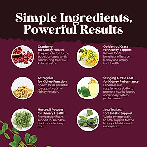 Kidney Support Supplement - High Strength Kidney Cleanse, Detox & Repair Cranberry Extract Capsules with Uva Ursi, Stinging Nettle & Java Tea - Urinary Tract Health & Bladder Cleanse Support - 60 Caps