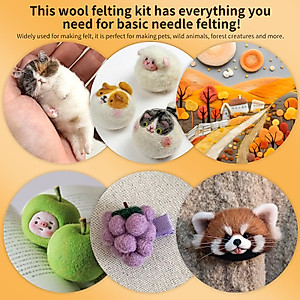 JUPEAN Needle Felting Kit, Wool Roving (5g/Color), Complete Needle Felting Starter Kit with Basic Felt Tools and Supplies Wool Fibre Spinning Craft Wet Felting Material for Beginners