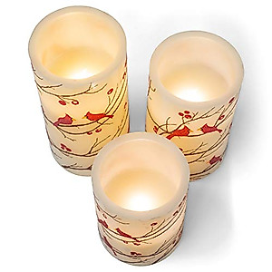 Mark Feldstein & Associates Flameless LED Glitter Berries and Cardinals Wax Pillar Candles with Timer, 3pc Set