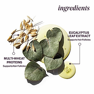 Pureology Pure Volume Shampoo | For Flat, Fine, Color-Treated Hair | Adds Lightweight Volume | Sulfate-Free | Vegan | Updated Packaging | 33.8 Fl. Oz. |