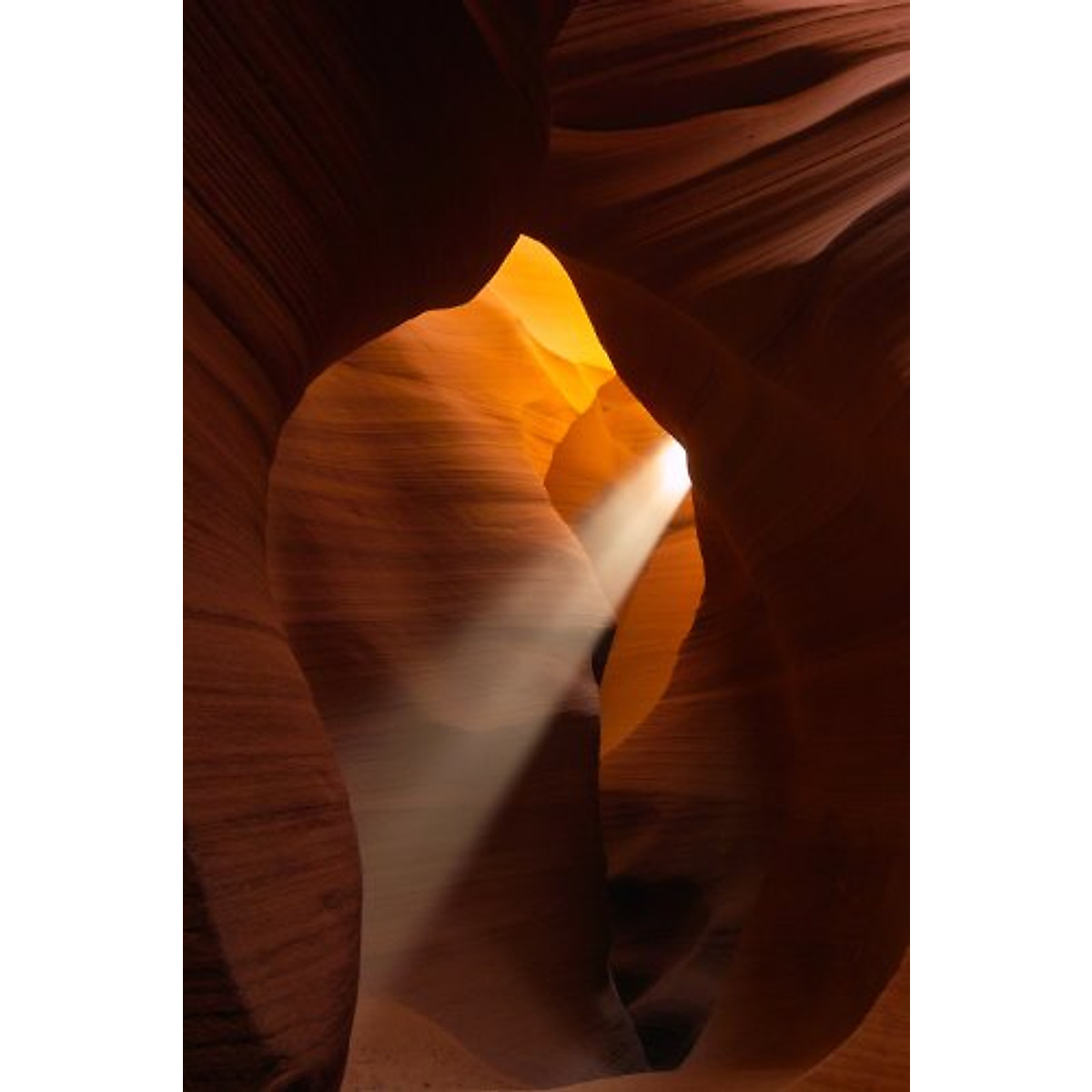 Sigma SD15 14MP X3 FOVEON CMOS Digital SLR with 3.0 inch LCD