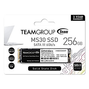 TEAMGROUP MS30 256GB with SLC Cache 3D NAND TLC M.2 2280 SATA III 6Gb/s Internal Solid State Drive SSD (Read/Write Speed up to 500/400 MB/s) Compatible with Laptop & PC Desktop TM8PS7256G0C101