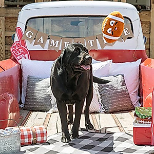 Fringe Studio Plush Dog Toy, I Wanna Be A Baller, Pet Shop Collection (289885)