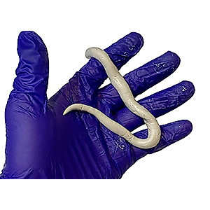 Epoxybond Atlas Pool Leak Detection Kit - Swimming Pool Leak Dye (Blue) Syringe & 8oz Refill Bottle - White Putty Epoxy Sealer + Valuable Instructional Step-by-Step DIY Videos