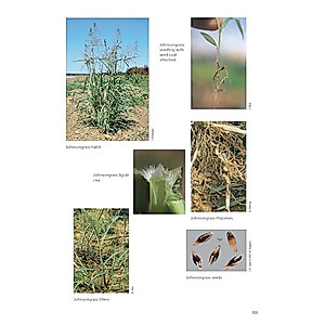 Weeds of the Northeast