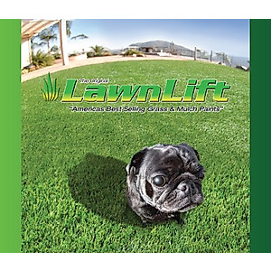 Lawnlift Ultra Concentrated (Green) Grass Paint 16oz. = 1.375 Gallons of Product.