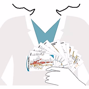 Muscles and Skeletal Anatomy Pocket Charts