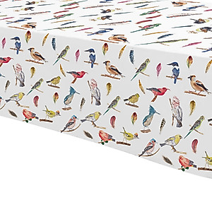 Xigejob Bird Party Tablecloth Decorations - Disposable Bird Birthday Party Supplies Table Cover, Colorful Birds Feather Bridal Baby Shower Summer Tea Party Table Cloth - 4 Pack (54in x 108in)