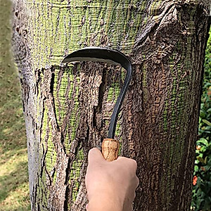 Elegital Kana Hoe 217 Japanese Garden Tool - Hand Hoe/Sickle is Perfect for Weeding and Cultivating. The Blade Edge is Very Sharp. (Beijing-022)