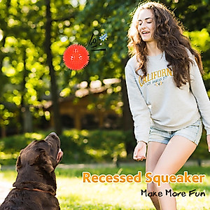 petizer 2-Pack 4.5" Squeaky Dog Toy Balls, Floating Dog Pool Balls, Dog Spiky Balls, Interactive Fetch Toys for Puppy, Dog Chew Toys (4.5", Large Dog)