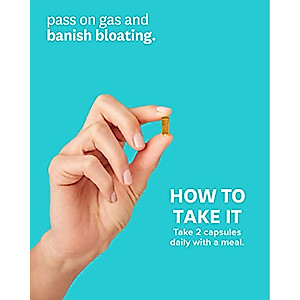 Zenwise No Bloat - Probiotics, Digestive Enzymes for Bloating and Gas Relief | Ginger, Dandelion, and Cinnamon to Improve Digestion - 60 Count