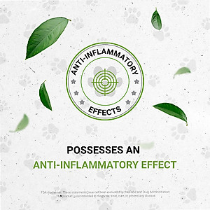 Lion's Blood Pressure | Natural Herbal Dietary Supplement for Cats | Healthy Blood Pressure Support in Cats | Alcohol-Free Extract, Hawthorn, Buchu, Garlic, Celery 2 oz