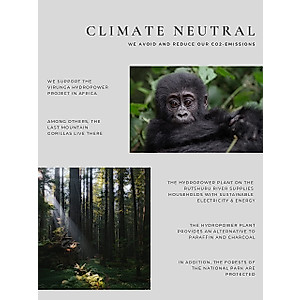 Jolicoon Will you be my bridesmaid 5 cards with luxury envelope and wax seal - Bridesmaid proposal cards