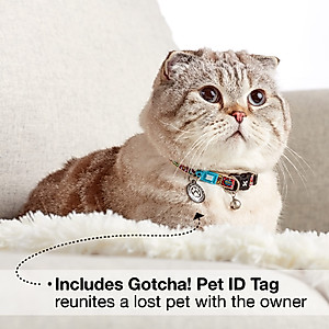 Max & Molly Fun & Whimsy Cat Collar with Jingle Bell, Breakaway Safety Buckle, Adjustable Sizing & Smart ID Personalized Tag for Girl or Boy Cats/Kittens, Comic Design