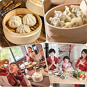 2 Tier Bamboo Steamer Basket Set Including Stainless Steel Steamer Ring Dumpling Maker Mold and Cutter Meat Spoon 2 Pairs Bamboo Chopsticks 2 Pcs Sauce Dish 50 Pcs Paper Liners for Kitchen (10 Inch)