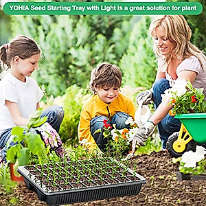 YOHIA Seed Starter Tray with Grow Light,2 Packs 80 Cells Seed Starter Kit,Seeding Starter Trays with Humidity Dome Germination Kit for Seedling Starting,Seed Growing,Cloning & Plant Propagation