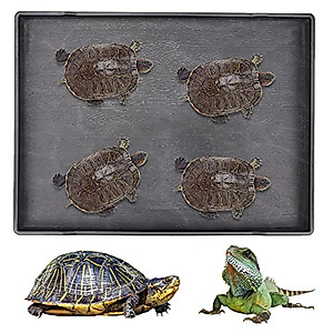 YOLUFER Reptile Food Water Bowl Plate Dish for Tortoise Crawl Pet Drinking and Eating Hallow Water Dish for Reptiles (Size3-L)