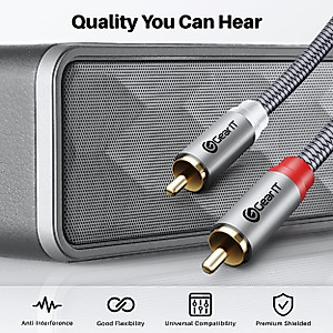 GearIT RCA Cable (10FT) 2RCA Male to 2RCA Male Stereo Audio Cables Shielded Braided RCA Stereo Cable for Home Theater, HDTV, Amplifiers, Hi-Fi Systems, Car Audio, Speakers, 10 Feet
