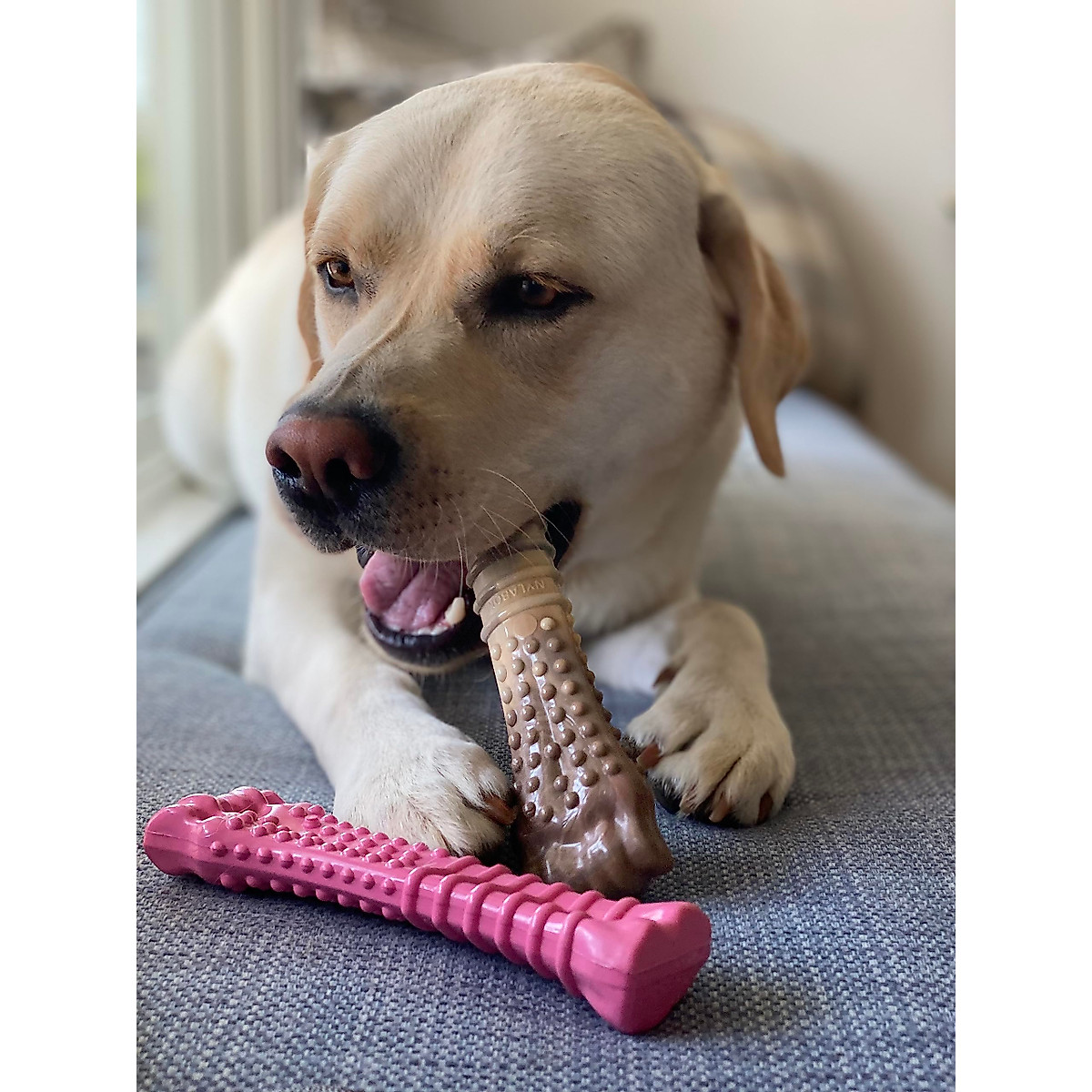 Nylabone Power Chew Breast Cancer Awareness Femur Bone Chew Toy for Dog, Indestructible Dog Toys for Aggressive Chewers, Chicken Flavor, X-Large/Souper (2 Count)