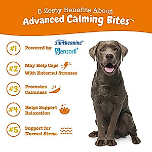 Zesty Paws Calming Chews for Dogs - Composure & Relaxation for Everyday Stress & Separation - with Ashwagandha, Organic Chamomile, L-Theanine & L-Tryptophan – Turkey Melatonin - 90 Count