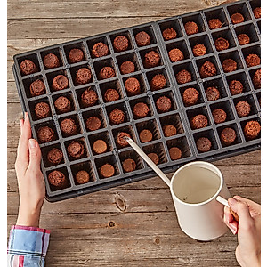 Burpee Self-Watering Seed Starter Tray, 72 Cells