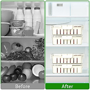 ADKYSL Divided Serving Tray with Lid, Fruit Storage Containers for Fridge, Portable Snackle Box Container, 4 Compartment Snack Tray with Lid for Vegetables Candy Nuts Spices -1 Pack
