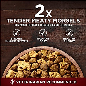 Purina ONE True Instinct with Real Salmon and Tuna Natural with Added Vitamins, Minerals and Nutrients High Protein Dog Food Dry Formula - 36 lb. Bag